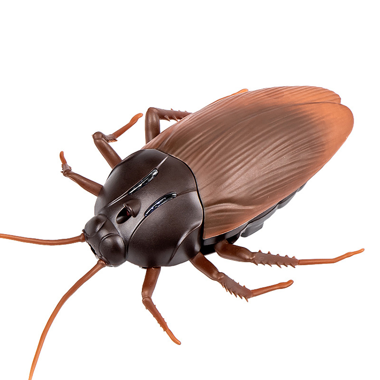Funny Cockroach, Remote Control Toy | Funny.com