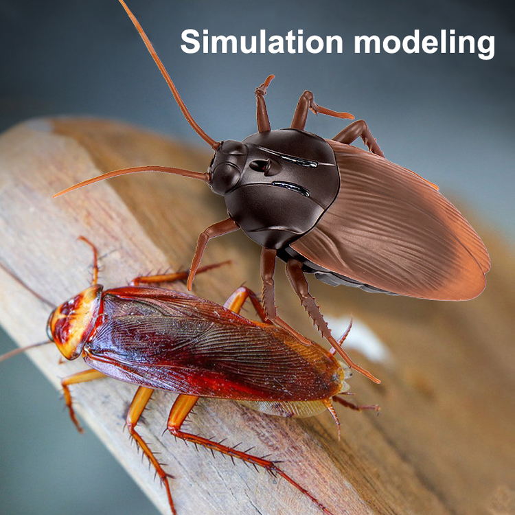 Funny Cockroach, Remote Control Toy | Funny.com