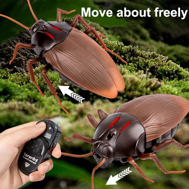 Funny Cockroach, Remote Control Toy | Funny.com