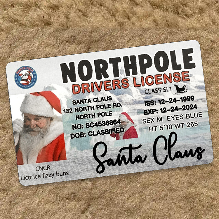 4 Pcs Lost Toboggan Licenses | Funny.com